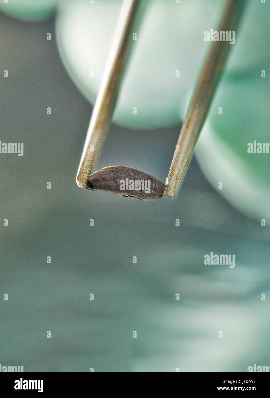 Isotope and archaeology hi-res stock photography and images - Alamy