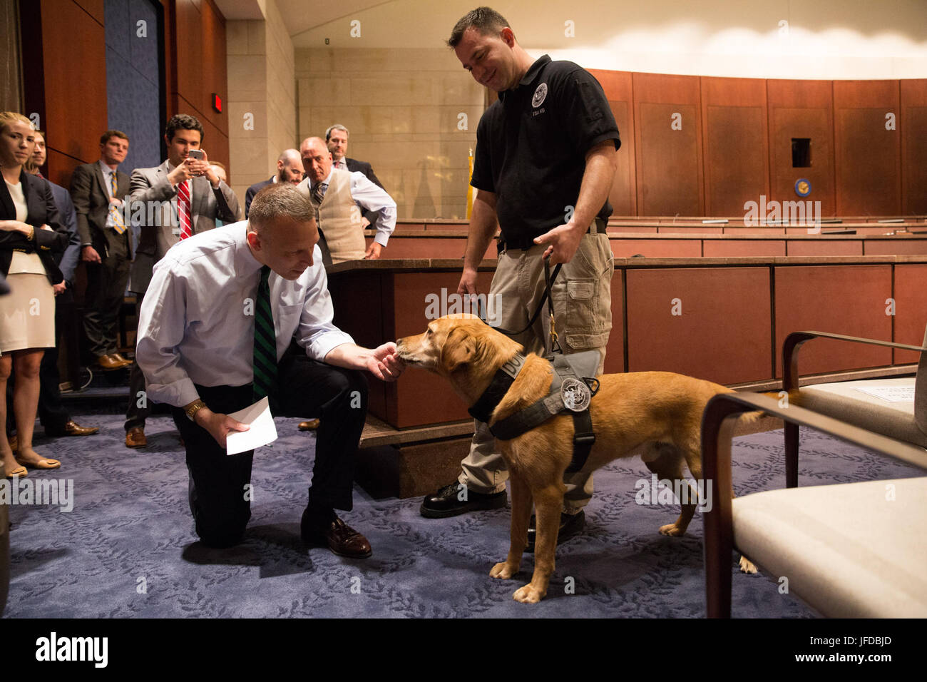 Customs and border protection canine program hi-res stock photography ...