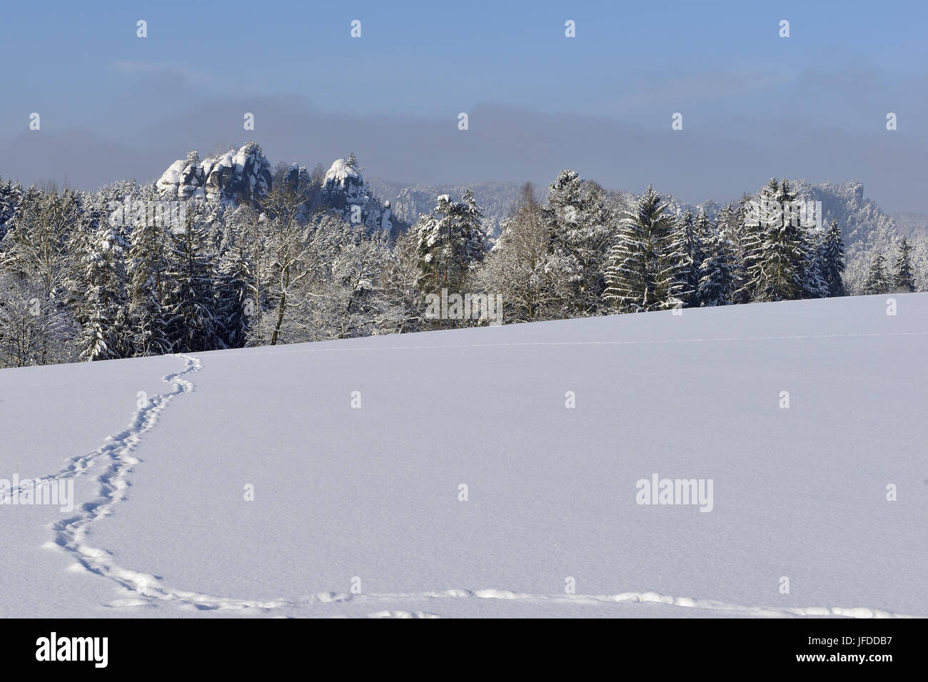 Saxon live hi-res stock photography and images - Alamy