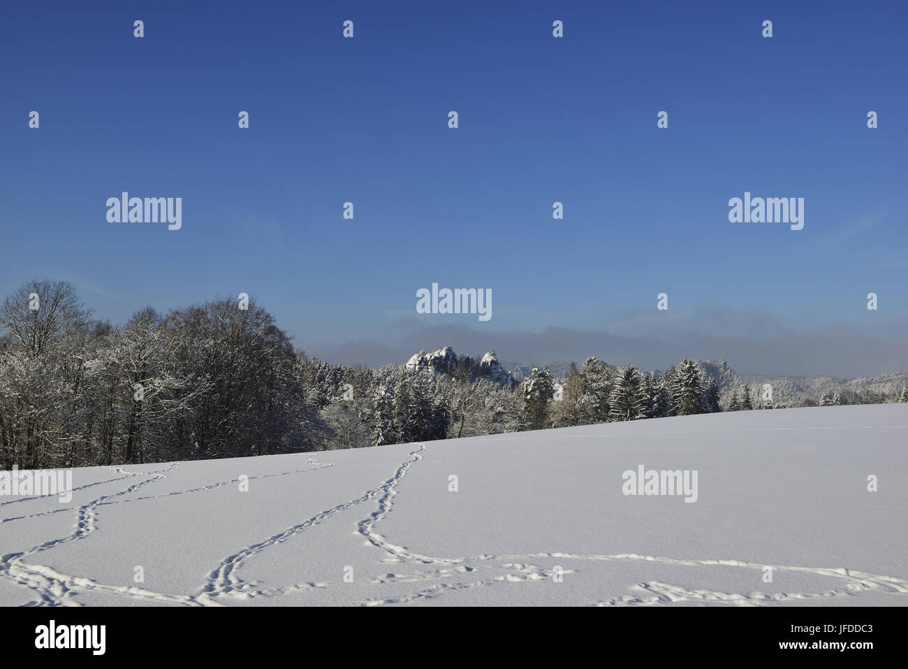 Saxony saxon free state hi-res stock photography and images - Alamy