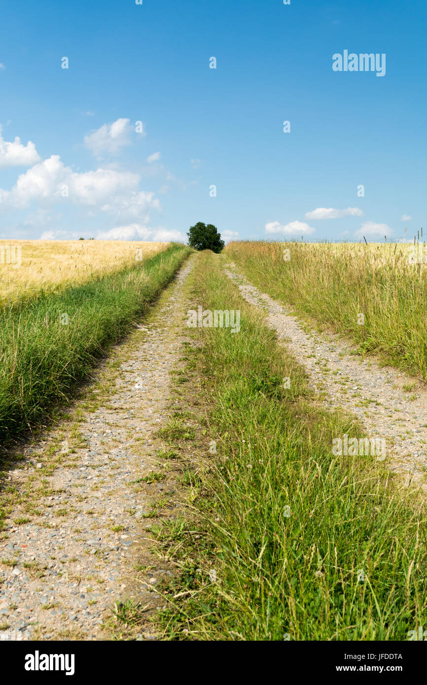 Straight dirt road hi-res stock photography and images - Alamy