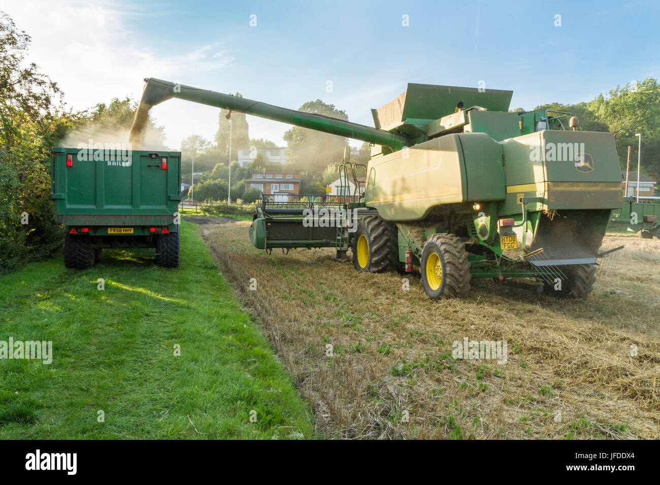 Combine harvester unloading wheat grain to a trailer, Nottinghamshire ...