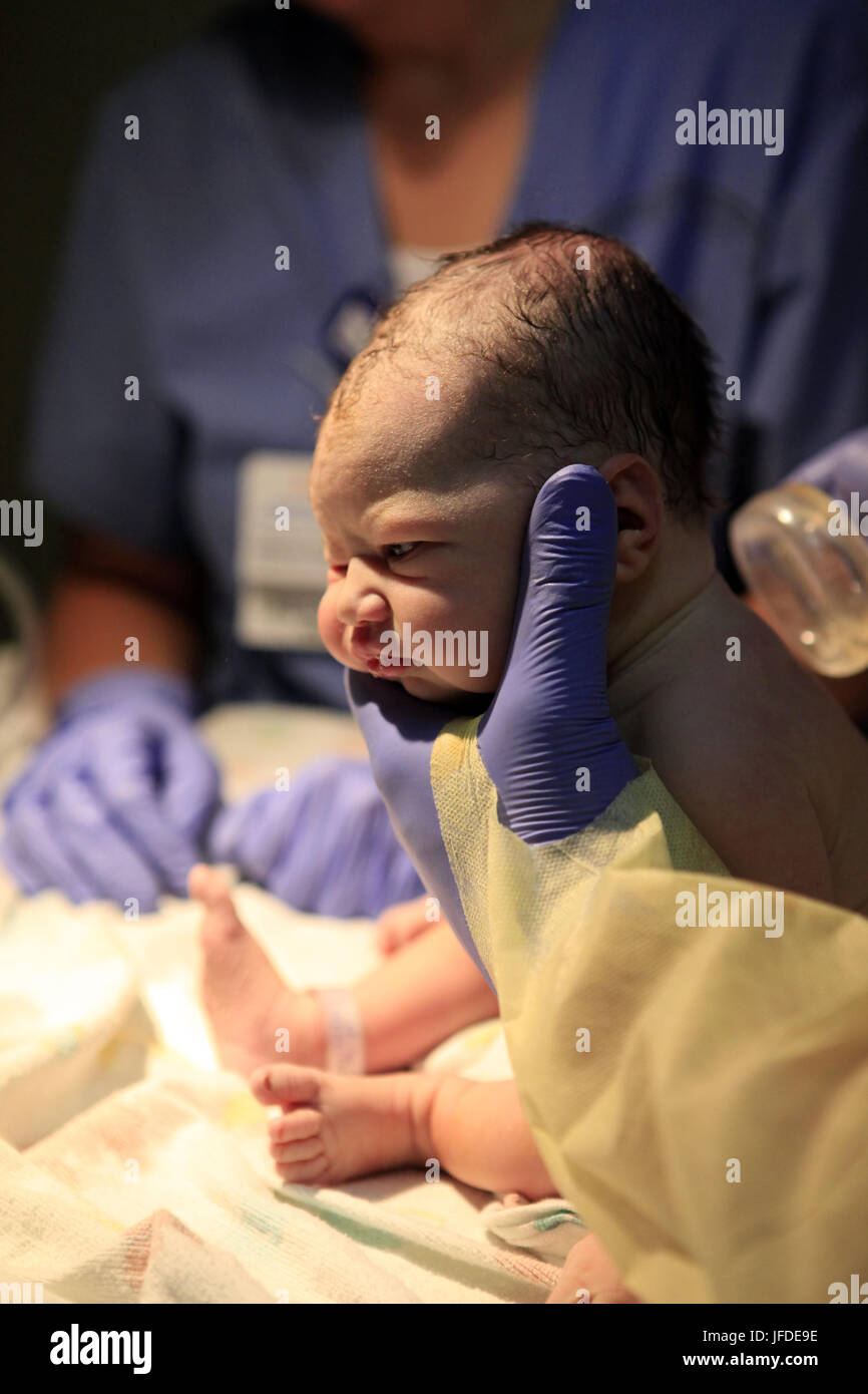 Just born baby girl Stock Photo - Alamy