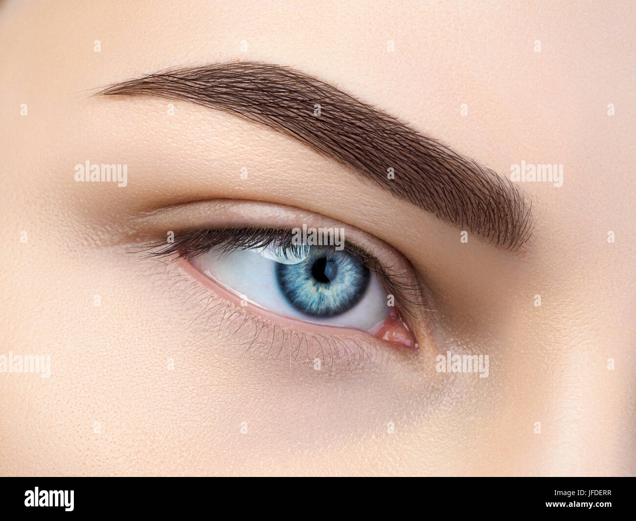 Close up view of beautiful blue female eye. Perfect trendy eyebrow ...