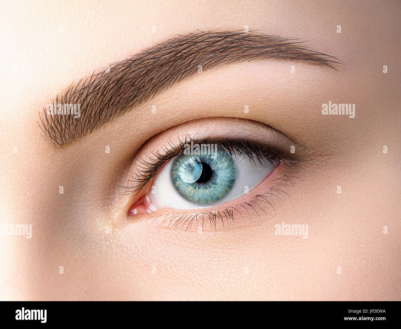 Close up view of beautiful blue female eye. Perfect trendy eyebrow ...
