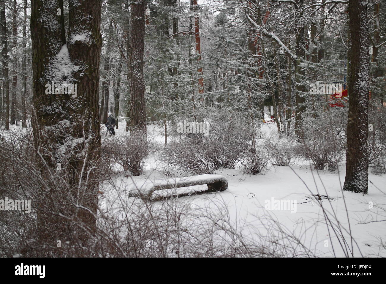Winter landscape beautiful park hi-res stock photography and images - Alamy