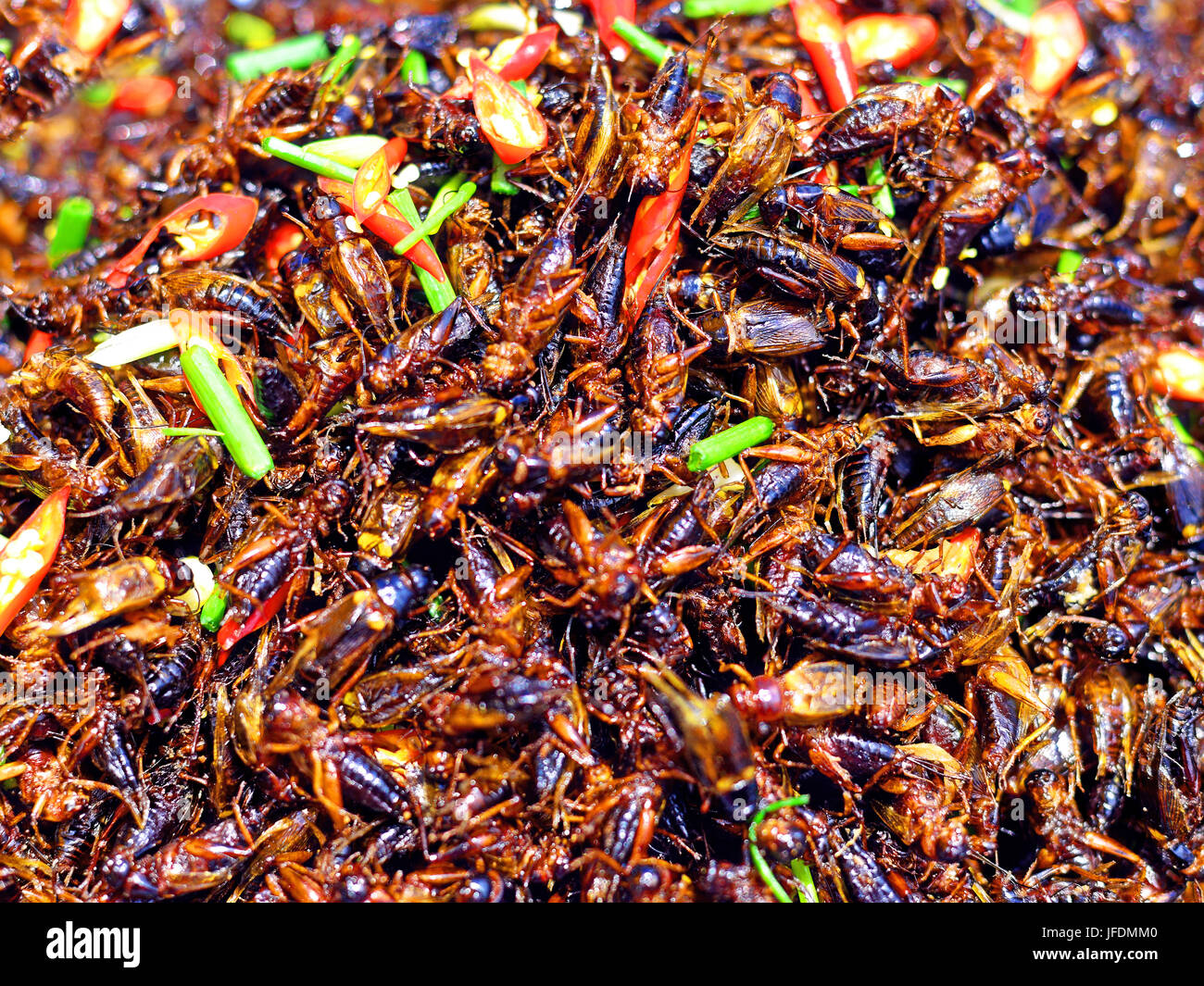 Cambodia Sihanoukville breakfast of fried insects Stock Photo - Alamy