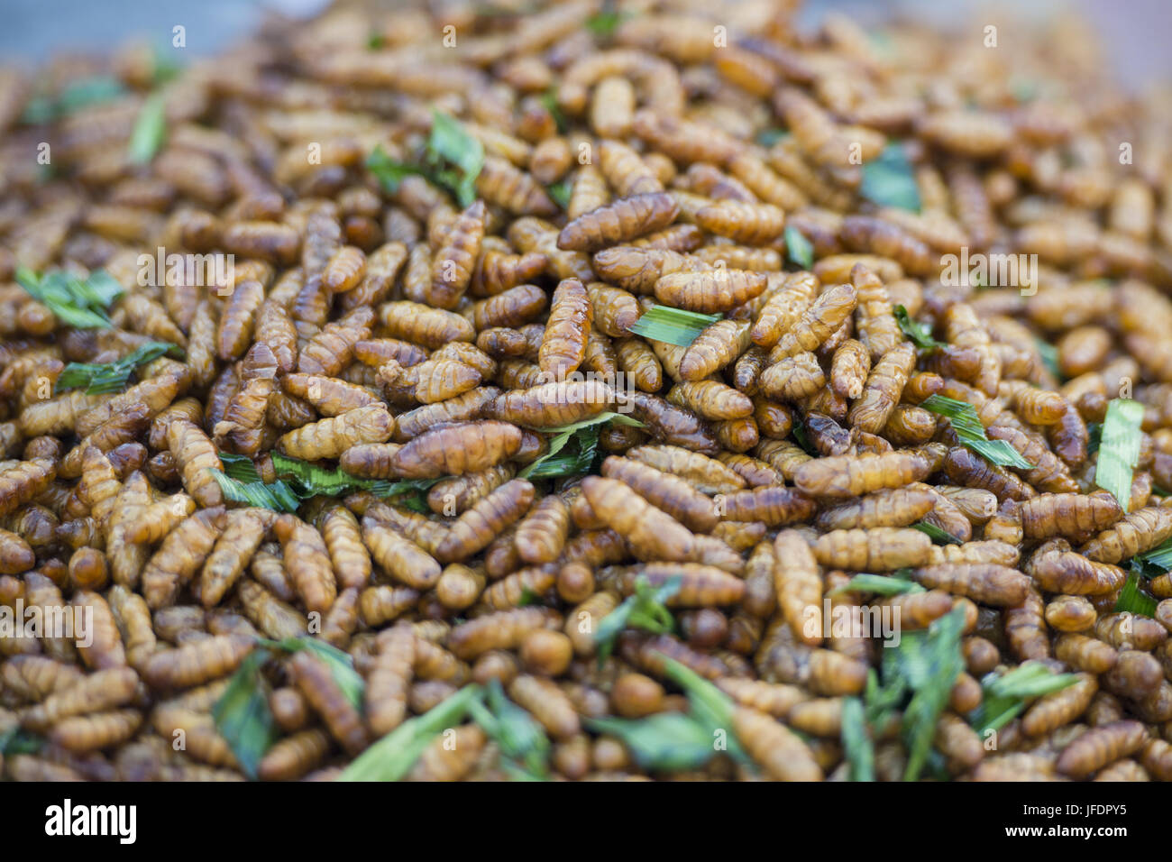 Food insects hi-res stock photography and images - Alamy