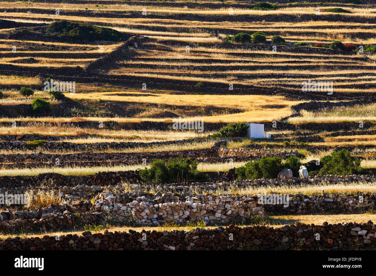Greece dry stone walls hi-res stock photography and images - Alamy