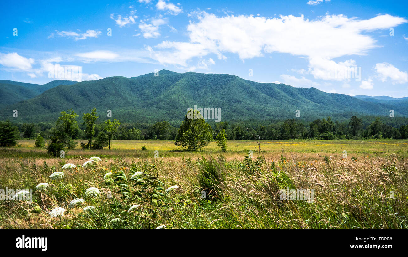 Big smokey fire hi-res stock photography and images - Alamy