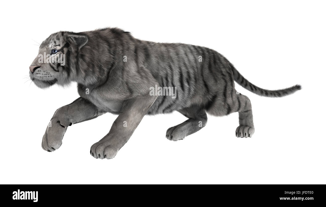 3D rendering of a white tiger jumping isolated on white background ...