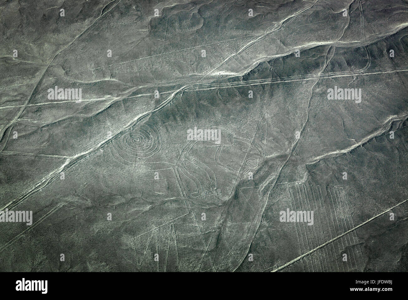 drawing monkey to the desert of Nazca Stock Photo - Alamy