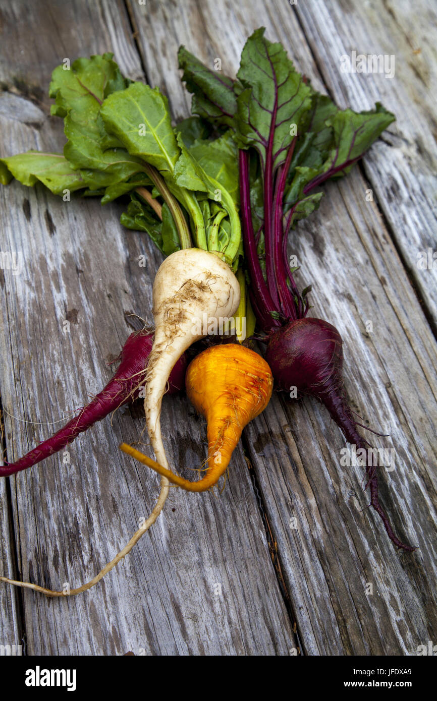 Yellow beets hi-res stock photography and images - Alamy