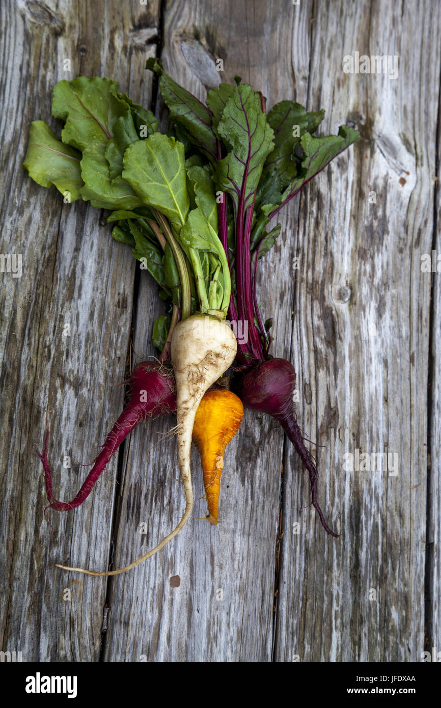 Red, orange and yellow beets Stock Photo - Alamy