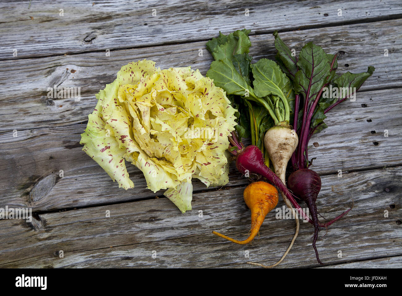 Castelfranco lettuce hi-res stock photography and images - Alamy