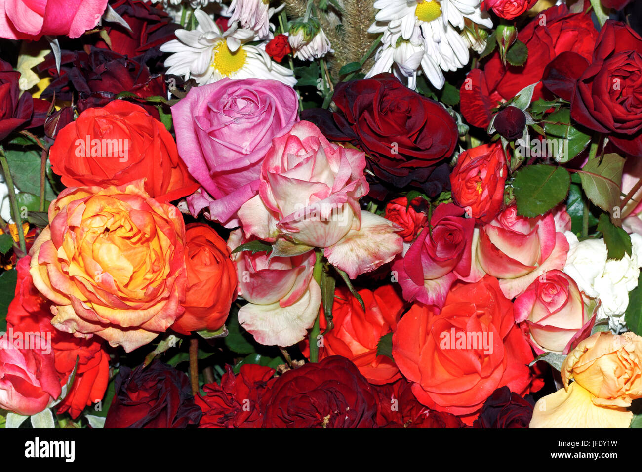 Big bouquet hi-res stock photography and images - Alamy