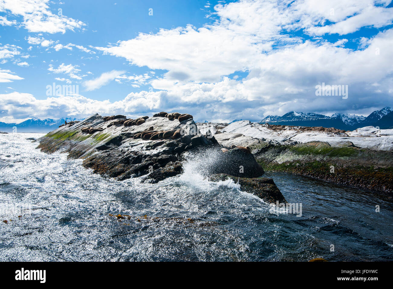 Island in the Beagle channel, Ushuaia, Tierra del Fuego, Argentina ...