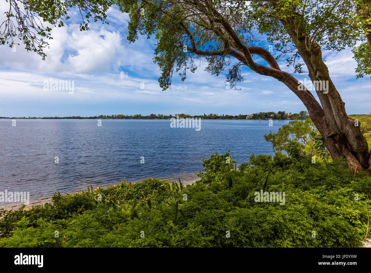 Point out historical hi-res stock photography and images - Alamy