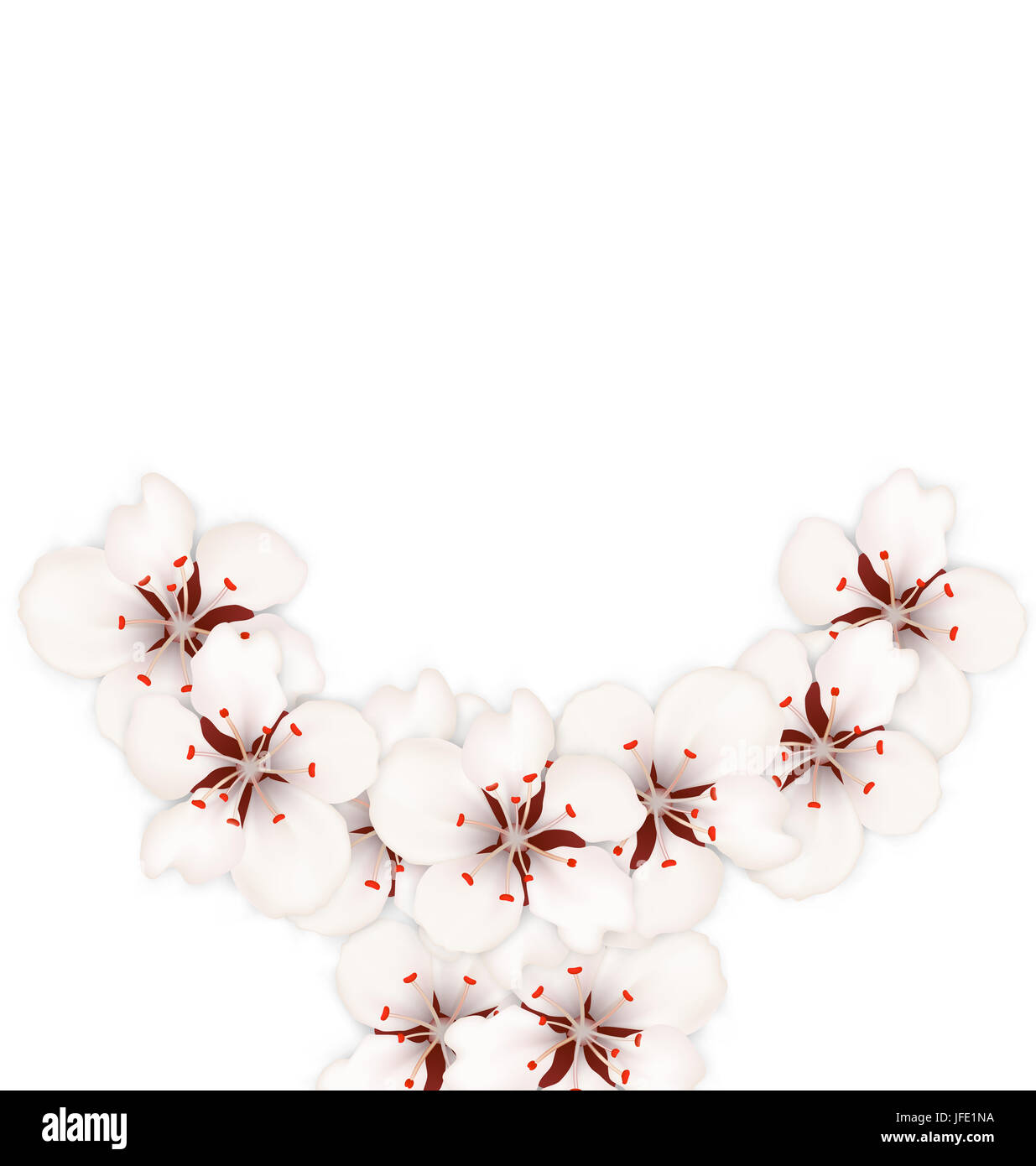 Illustration Frame with Sakura Flowers Blossom, Floral Banner for ...