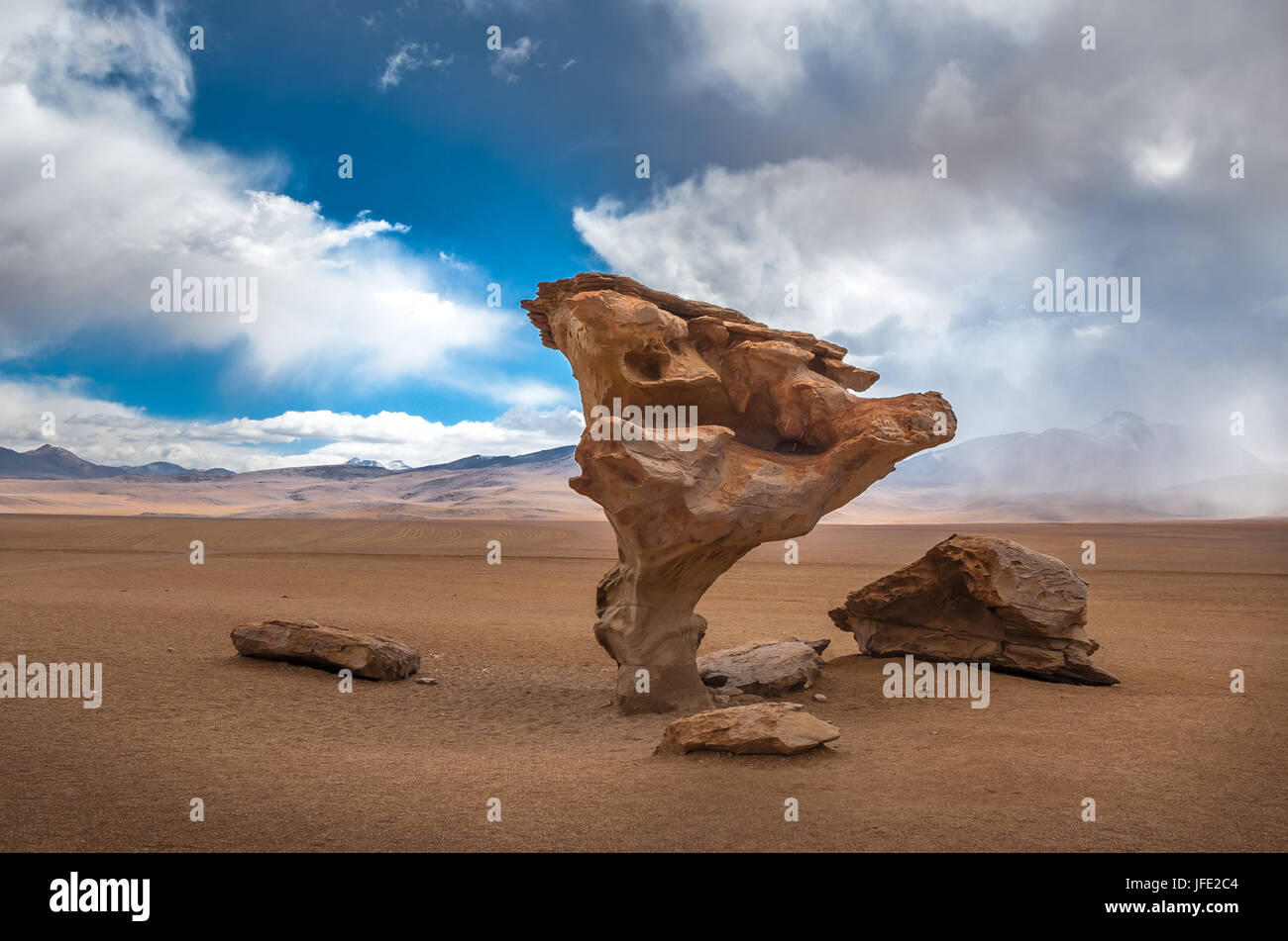 Rock tree bolivia hi-res stock photography and images - Alamy