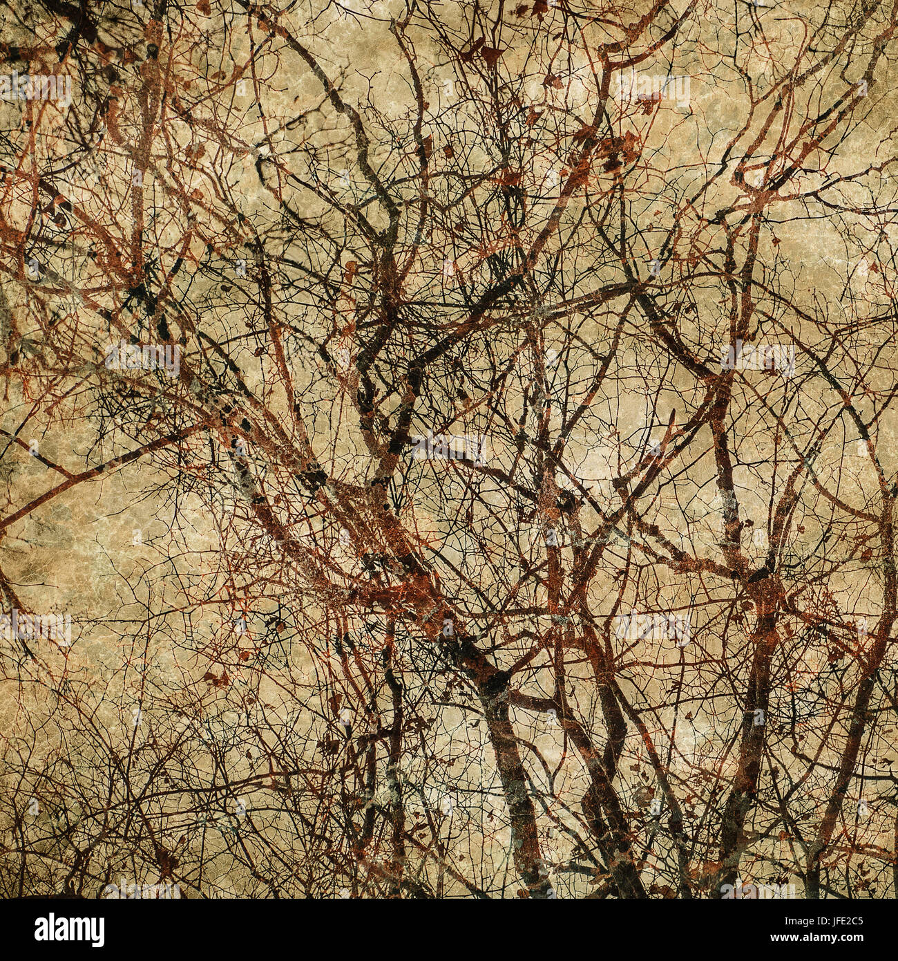 grunge background with tree silhouettes Stock Photo - Alamy