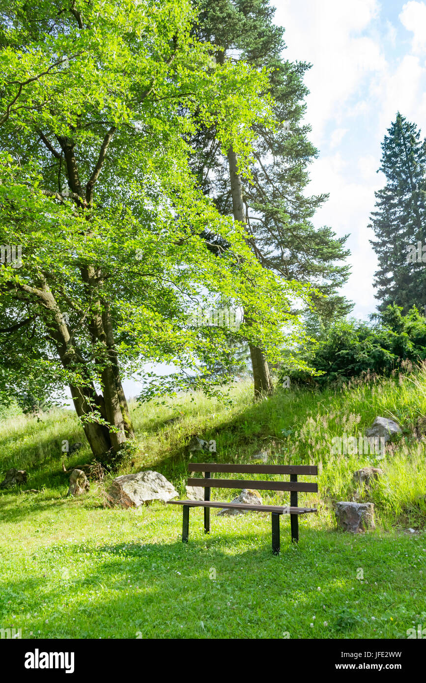 bench in a meadow Stock Photo - Alamy