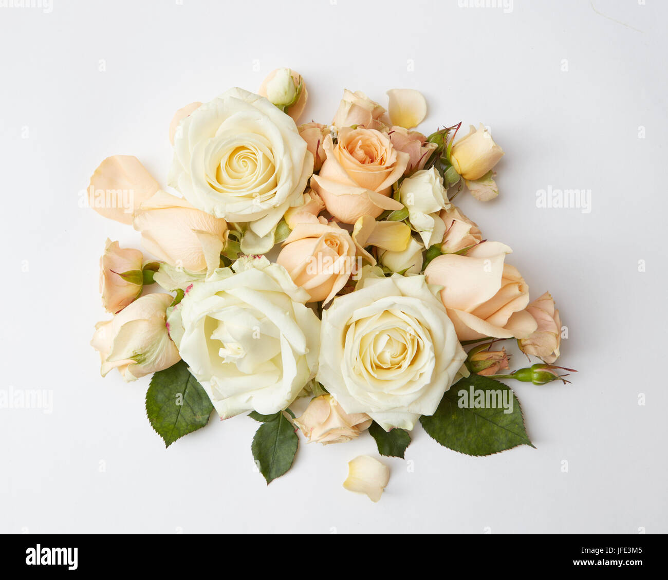 bouquet of beige roses Stock Photo - Alamy