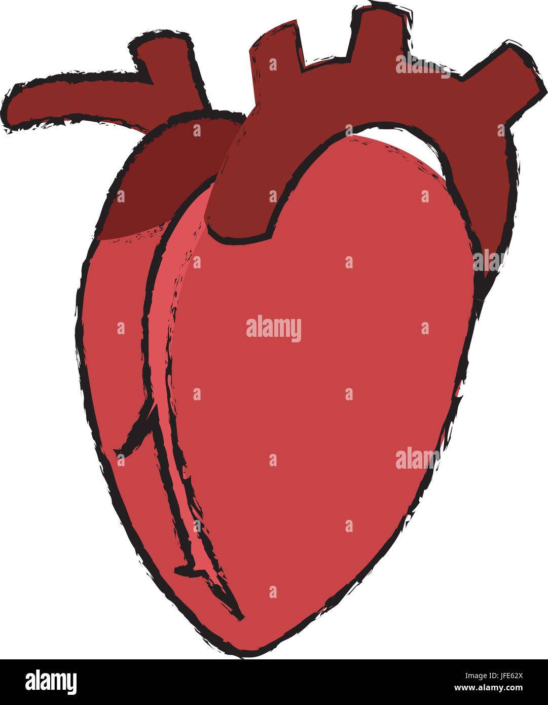 heart human organ healthy anatomy icon Stock Vector Image & Art - Alamy