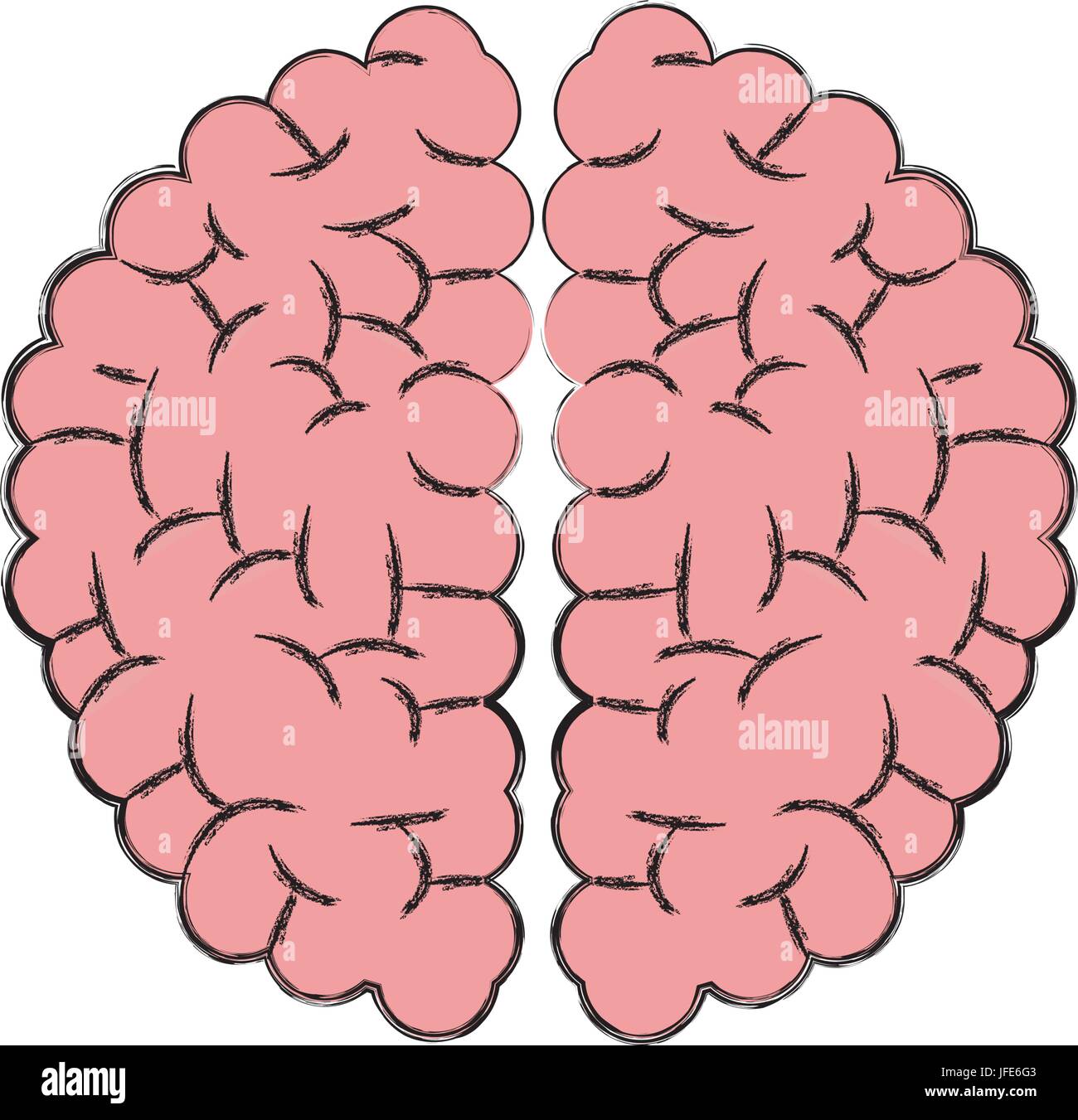 human brain anatomy idea think Stock Vector Image & Art - Alamy