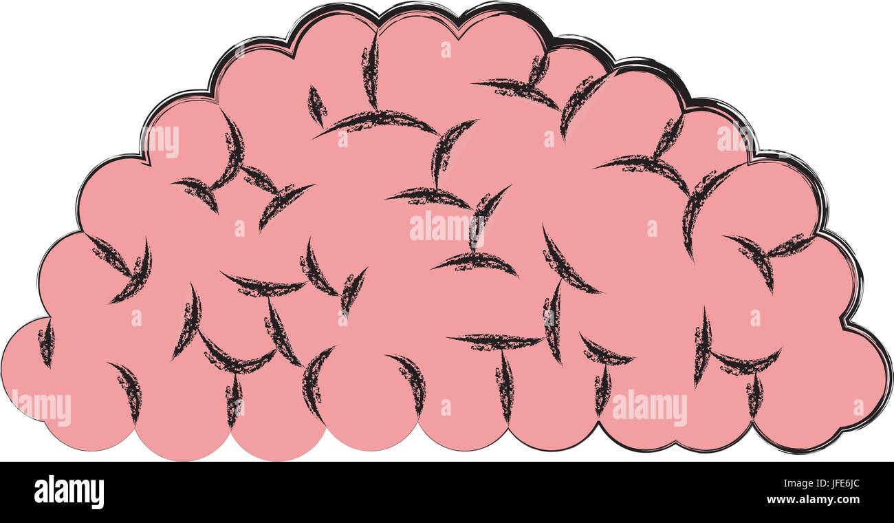 human brain anatomy idea think Stock Vector Image & Art - Alamy