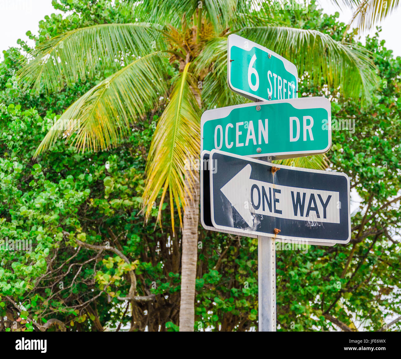 Ocean Drive street sign and a palm tree Stock Photo - Alamy