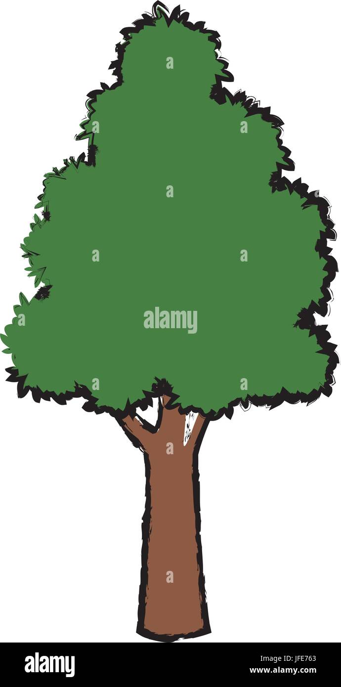 tree for forest park and garden plant natural Stock Vector Image & Art ...