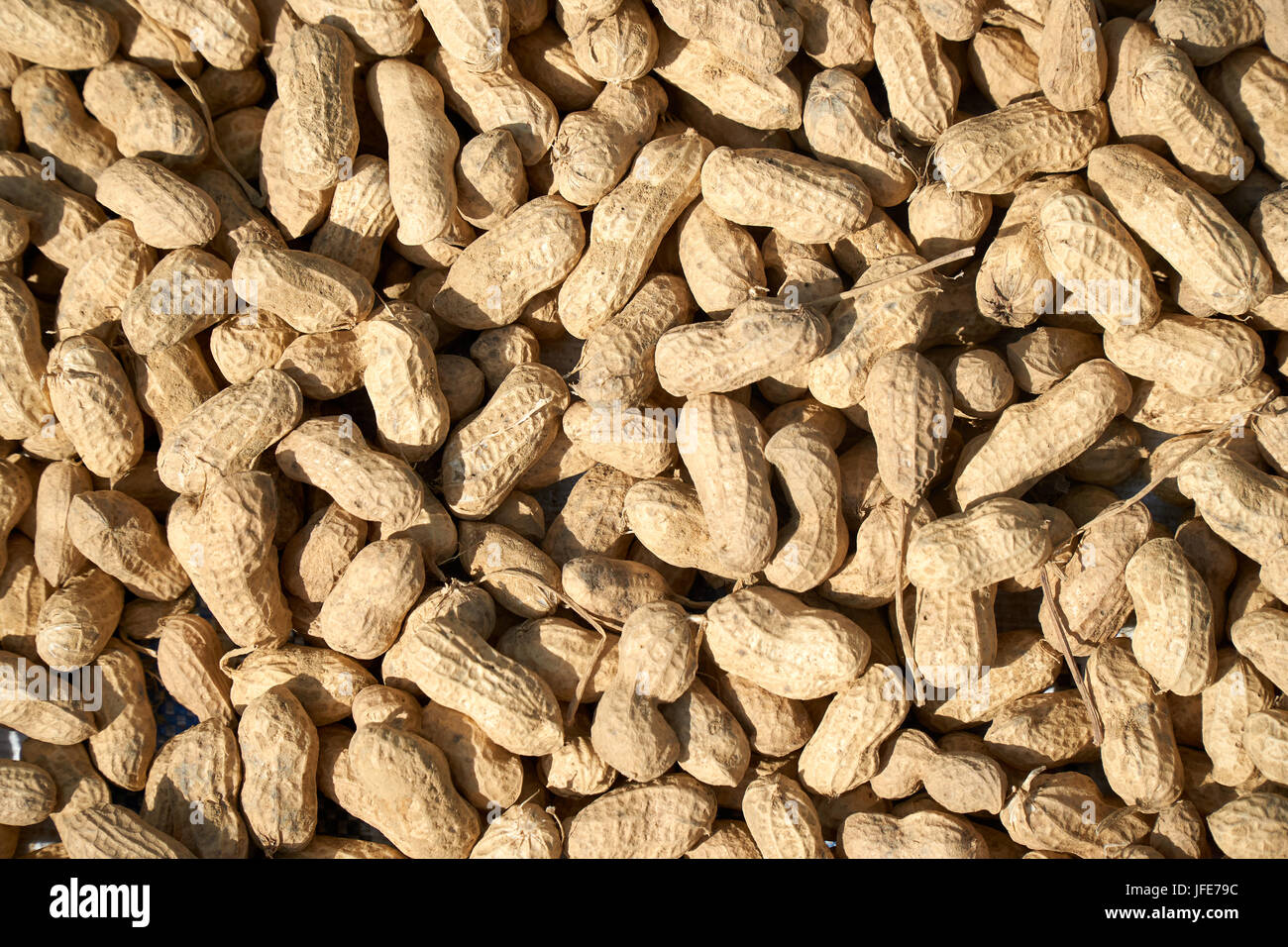 Peanuts in shell texture background. Raw peanuts top view at a farmer's ...