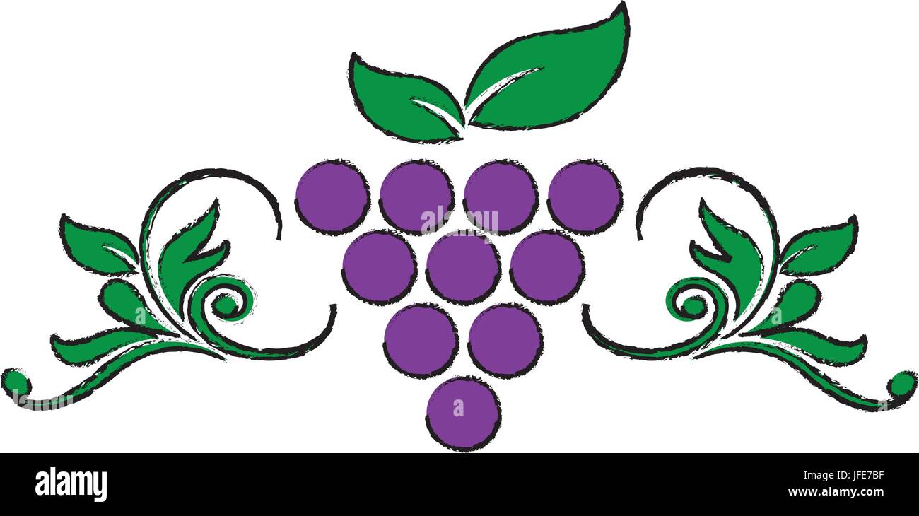 Stylized grapes Stock Vector Images - Alamy