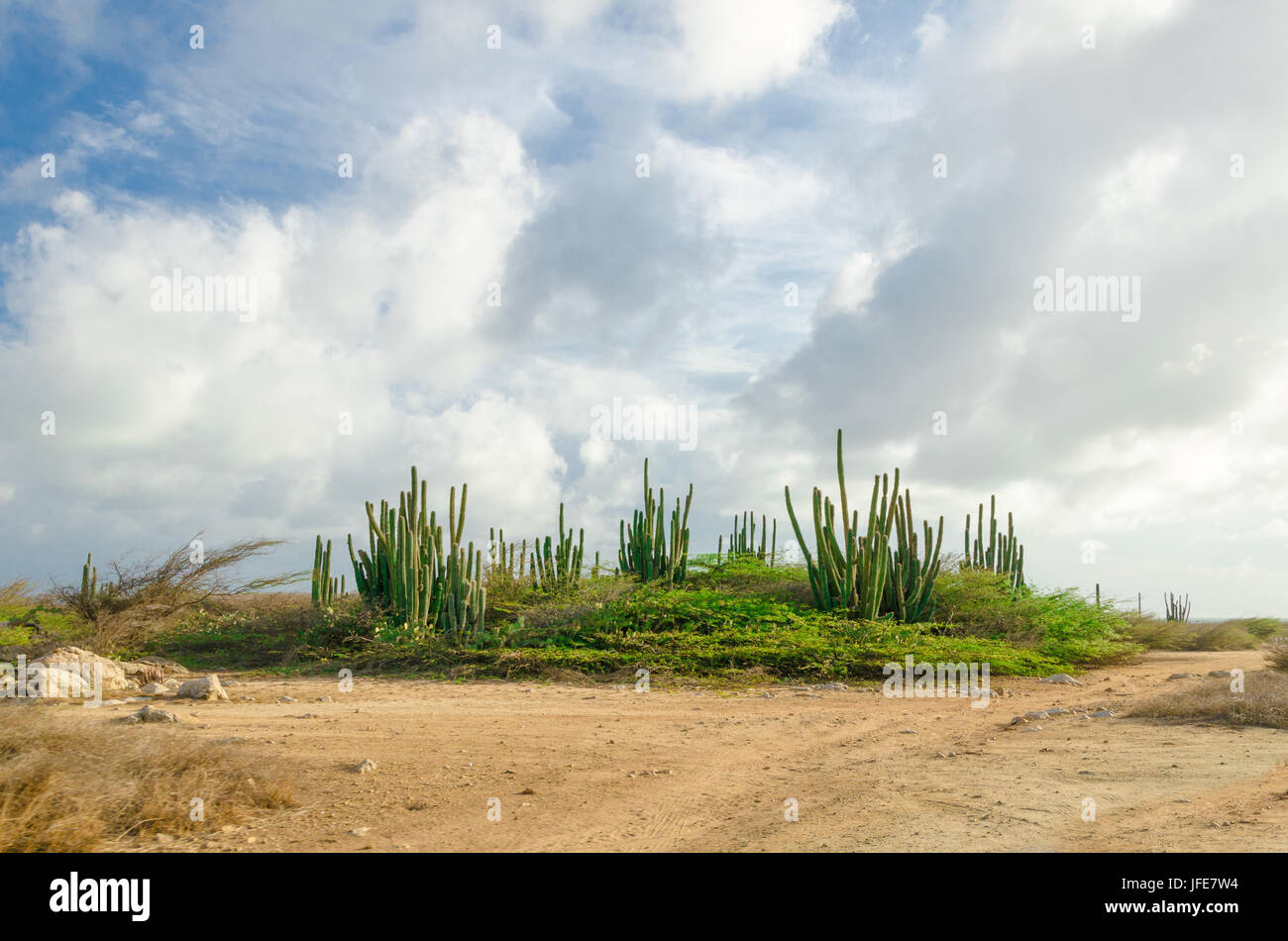 Arid Tropics High Resolution Stock Photography and Images - Alamy