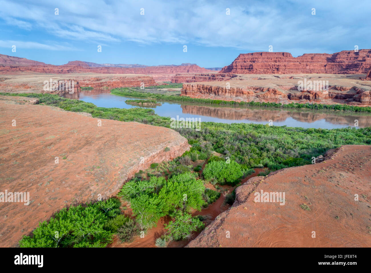 aerial view of the canyon of Colorado River below Moab, Utah with green ...