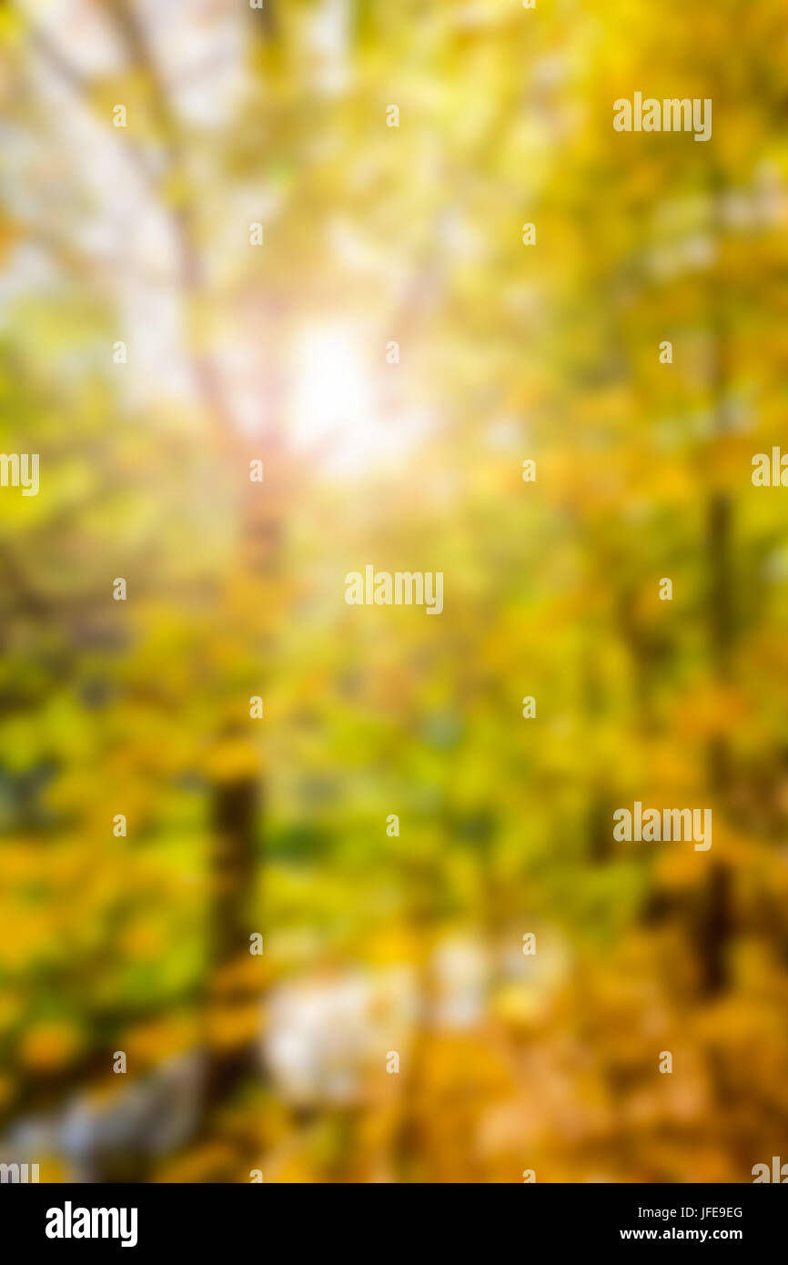 Blurred forest hi-res stock photography and images - Alamy