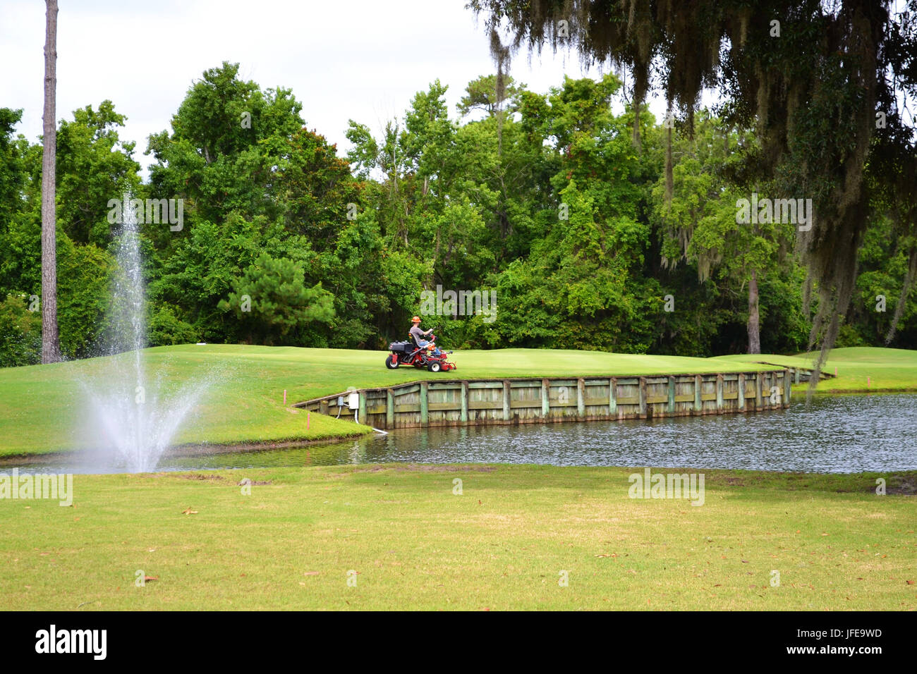 Man mowing a golf course green in Florida USA Stock Photo - Alamy