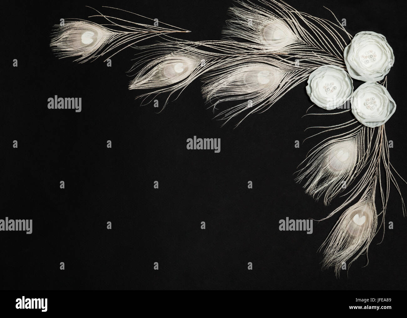 Black Dark Retangular Horizontal Background With Gentle White ...