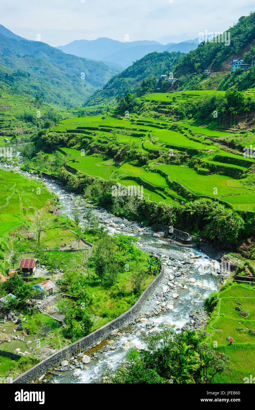Hapao rice terraces part of the world heritage sight Banaue, Luzon ...