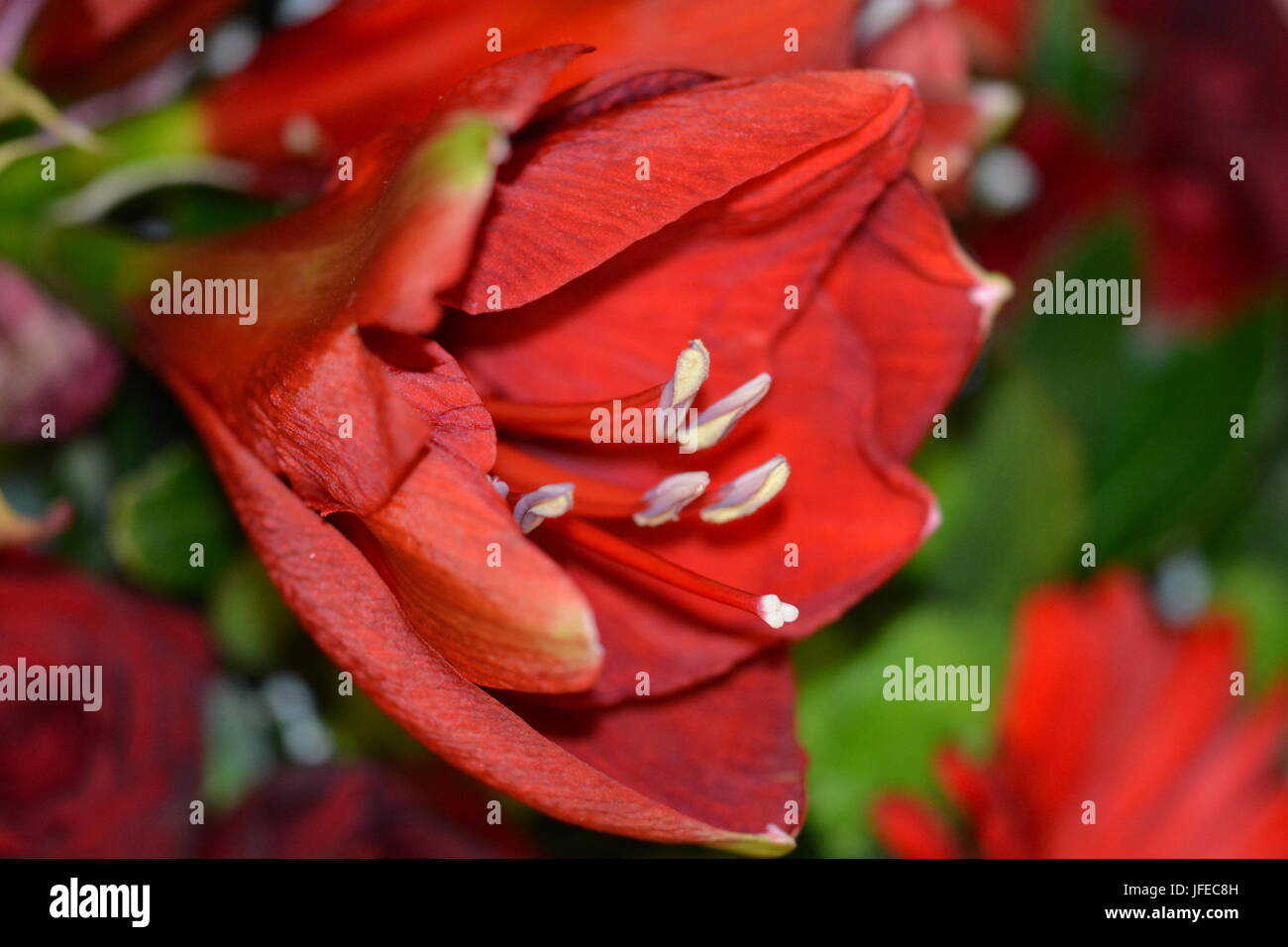 Natural spring greece hi-res stock photography and images - Alamy