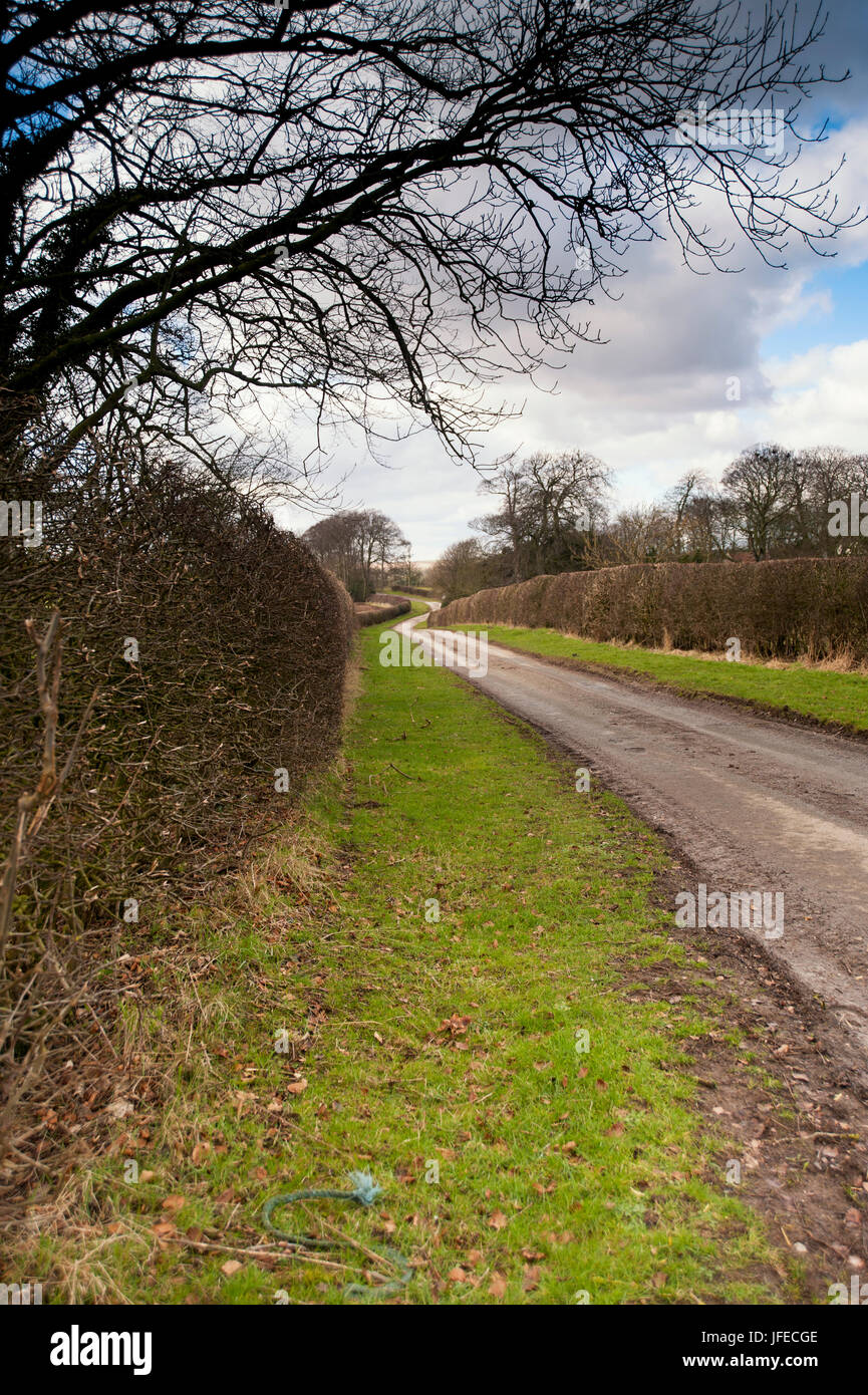 Yorkshire wolds autumn hi-res stock photography and images - Alamy