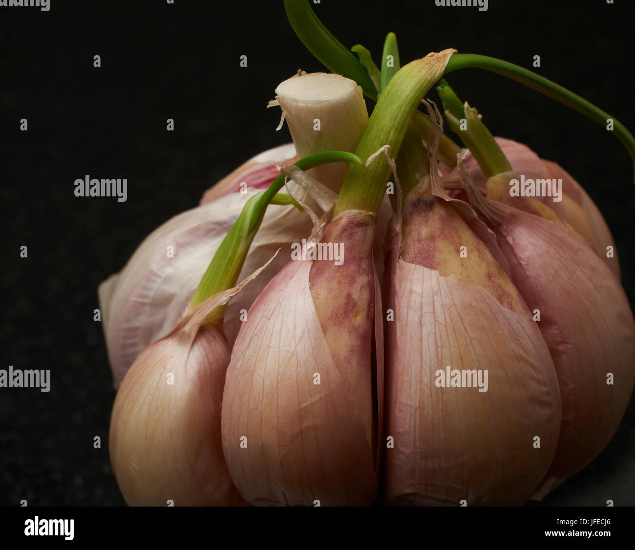 Fresh Garlic bulb and cloves Stock Photo - Alamy