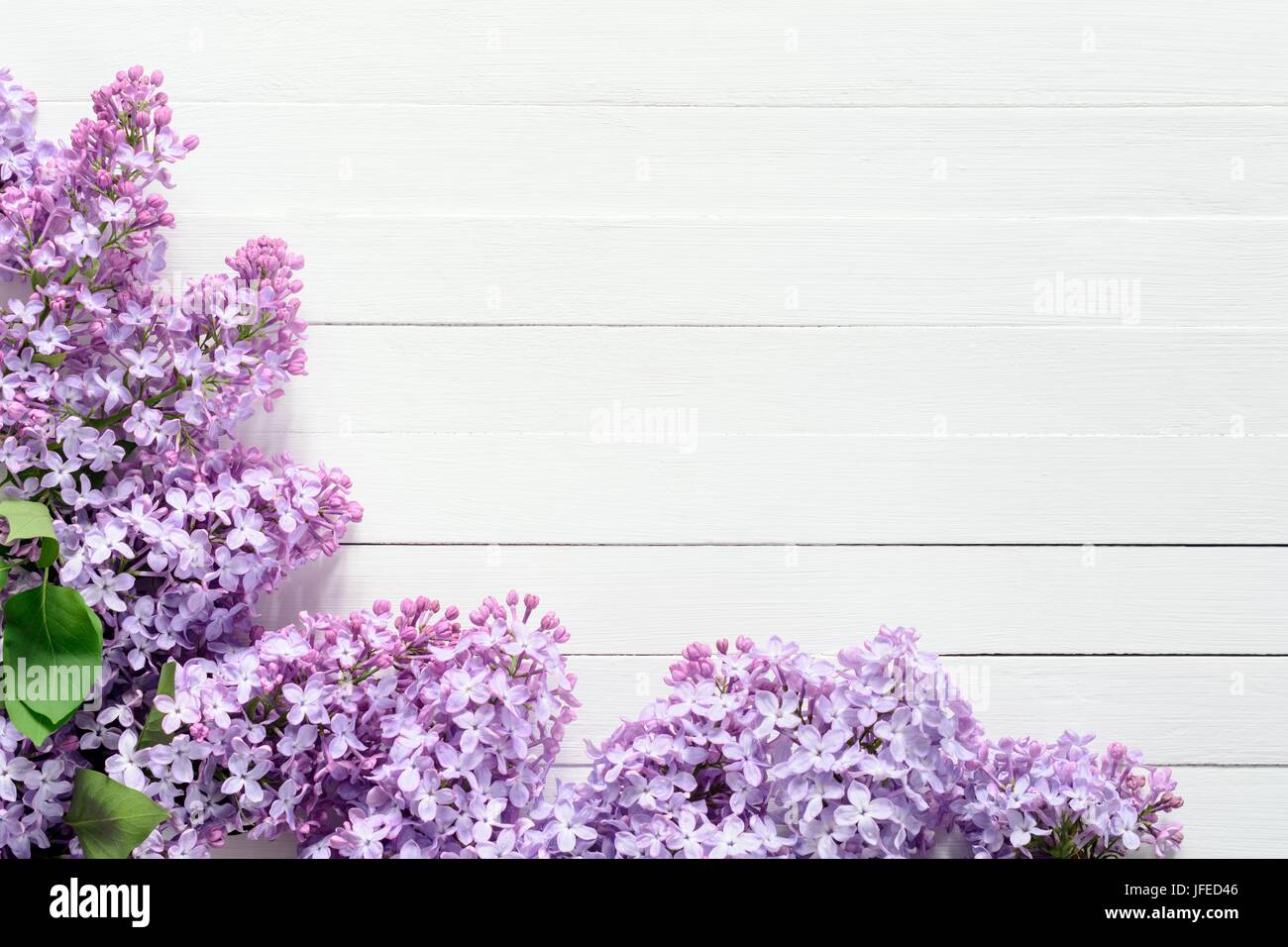 Lilac flowers frame composition on white background. Flat lay of lilacs ...