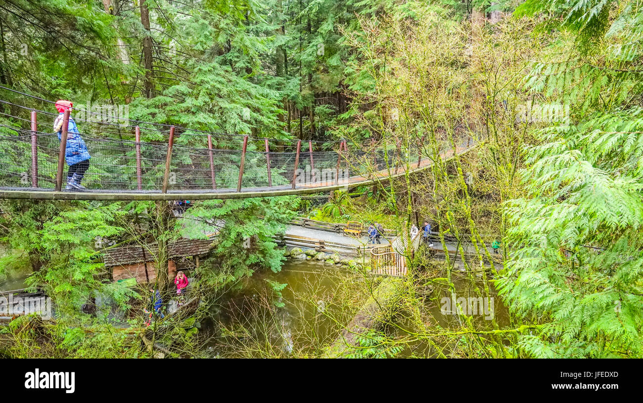 Walking trails throgh Capilano Bridge Park in the Canadian Woods Stock ...