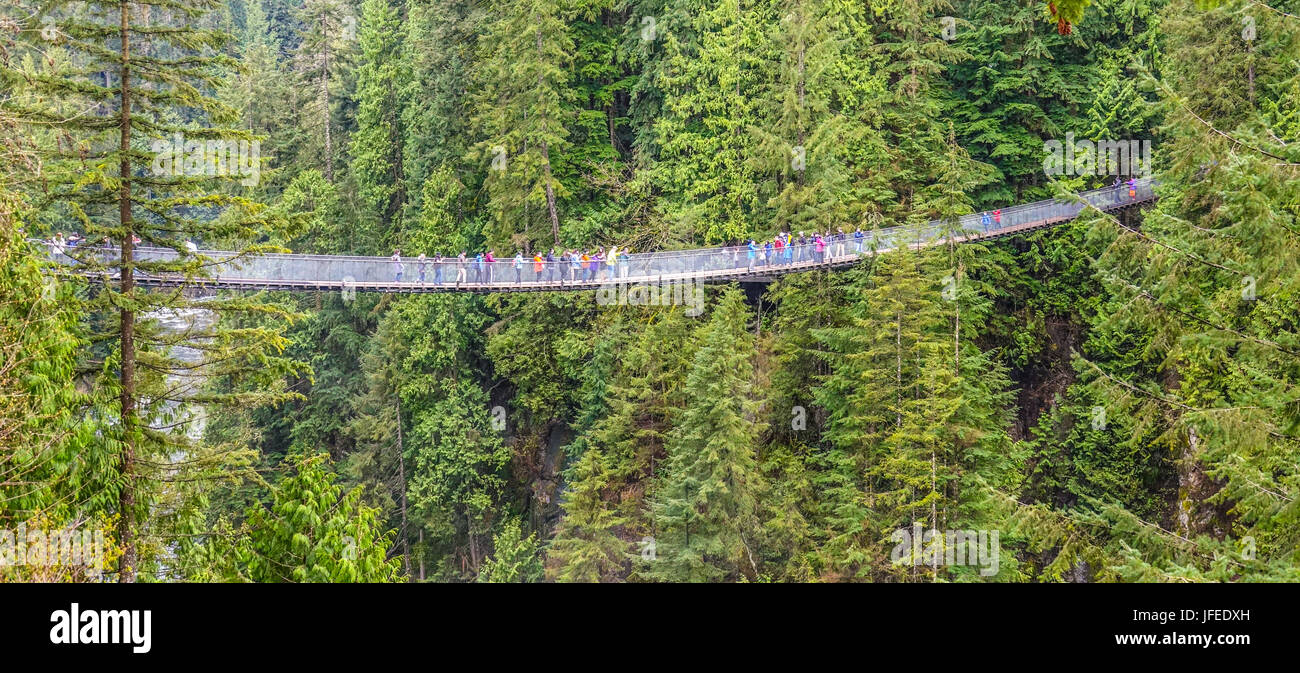 Famous Capilano Suspension Bridge in Canada Stock Photo - Alamy