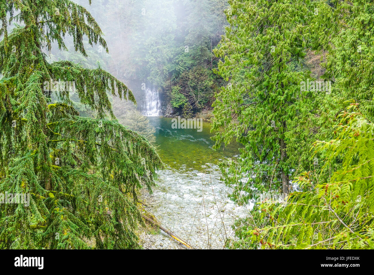 Wonderful Capilano Suspension Bridge Park in Canada Stock Photo - Alamy