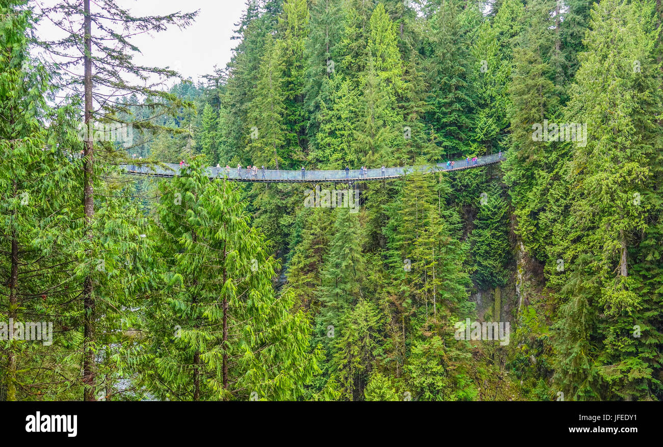 Capilano suspension bridge hi-res stock photography and images - Alamy