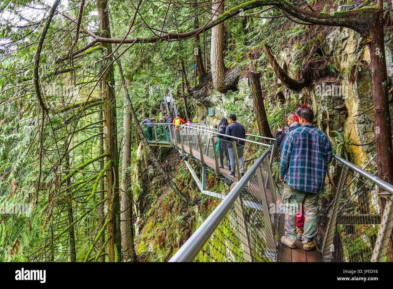 Walking trails throgh Capilano Bridge Park in the Canadian Woods Stock ...