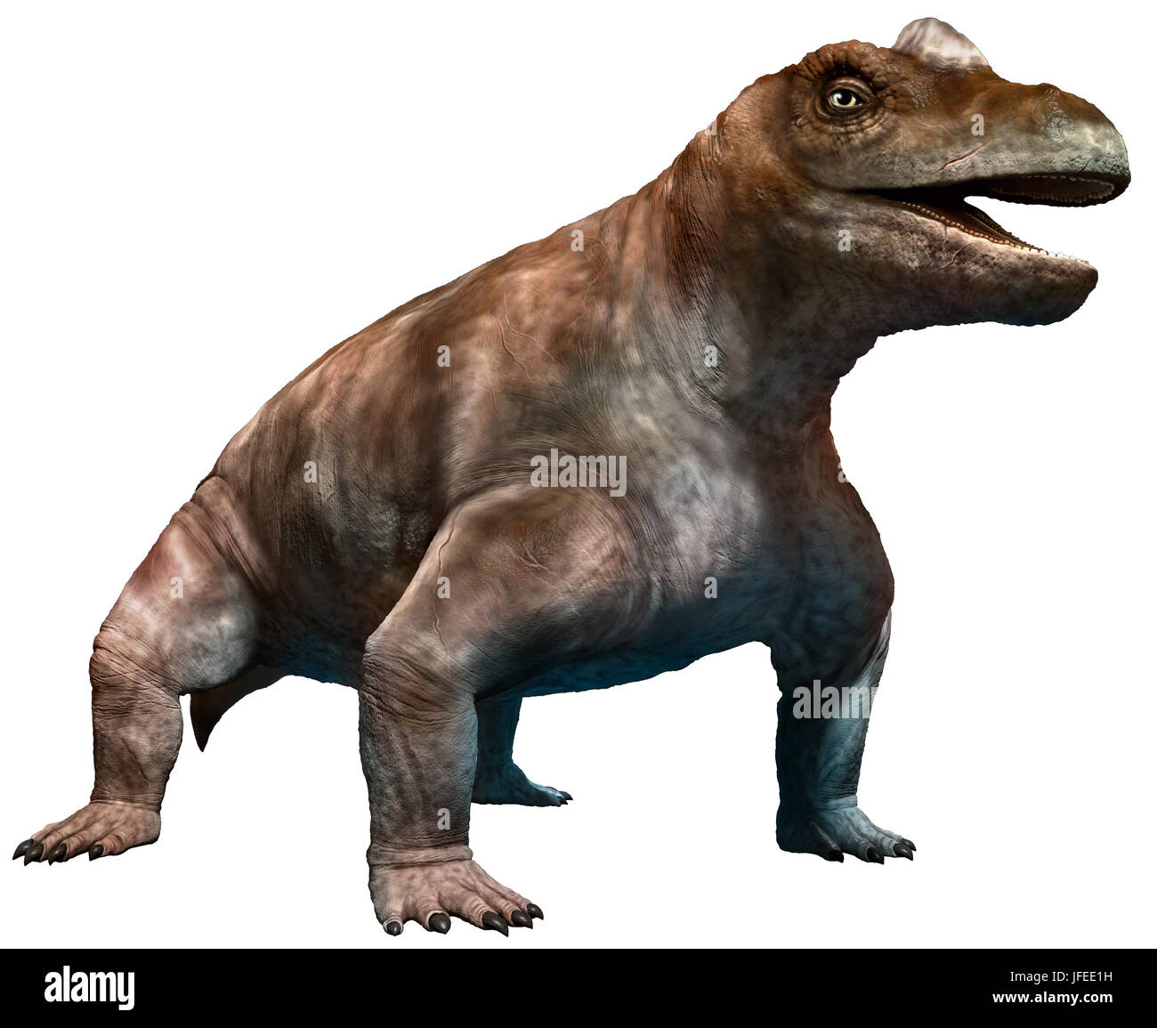 Therapsid hi-res stock photography and images - Alamy
